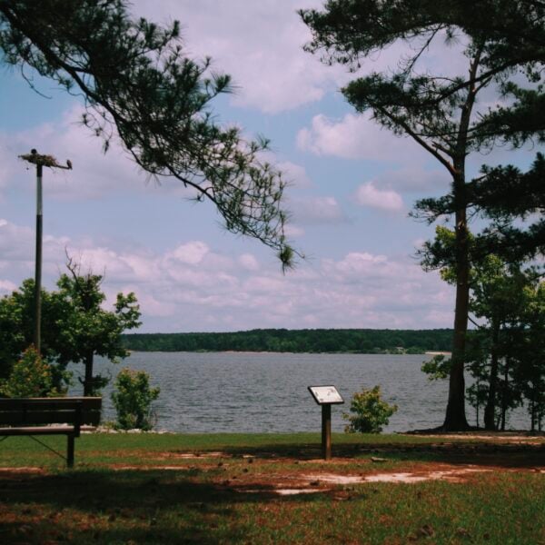 Jordan Lake State Recreation Area - Pittsboro-Siler City Convention ...