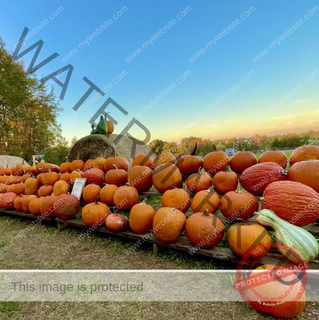 Huckleberry Trail Farm Fall Festival - Pittsboro-Siler City Convention ...
