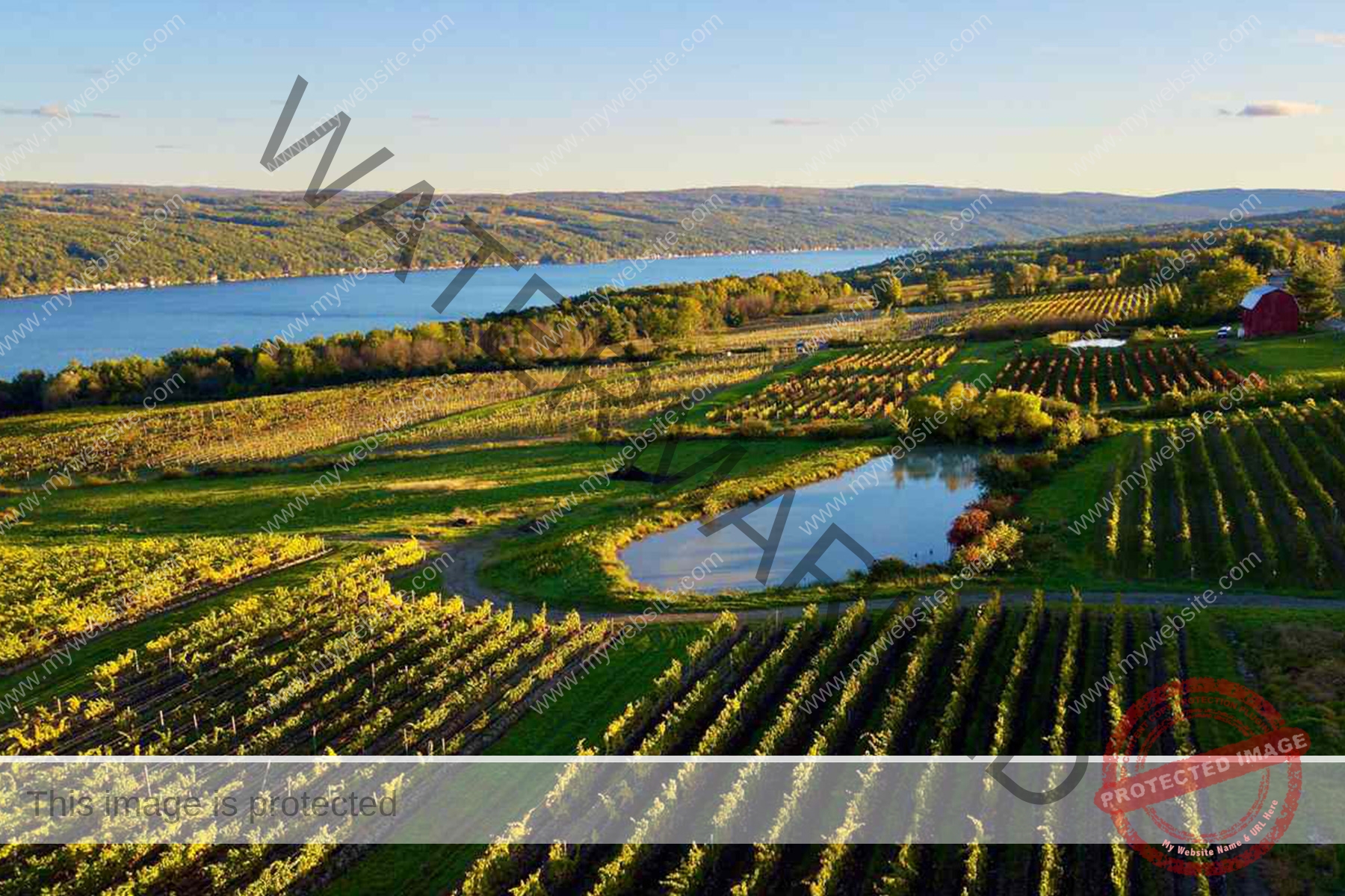 Wine Class – A View of the Finger Lakes - Pittsboro-Siler City ...