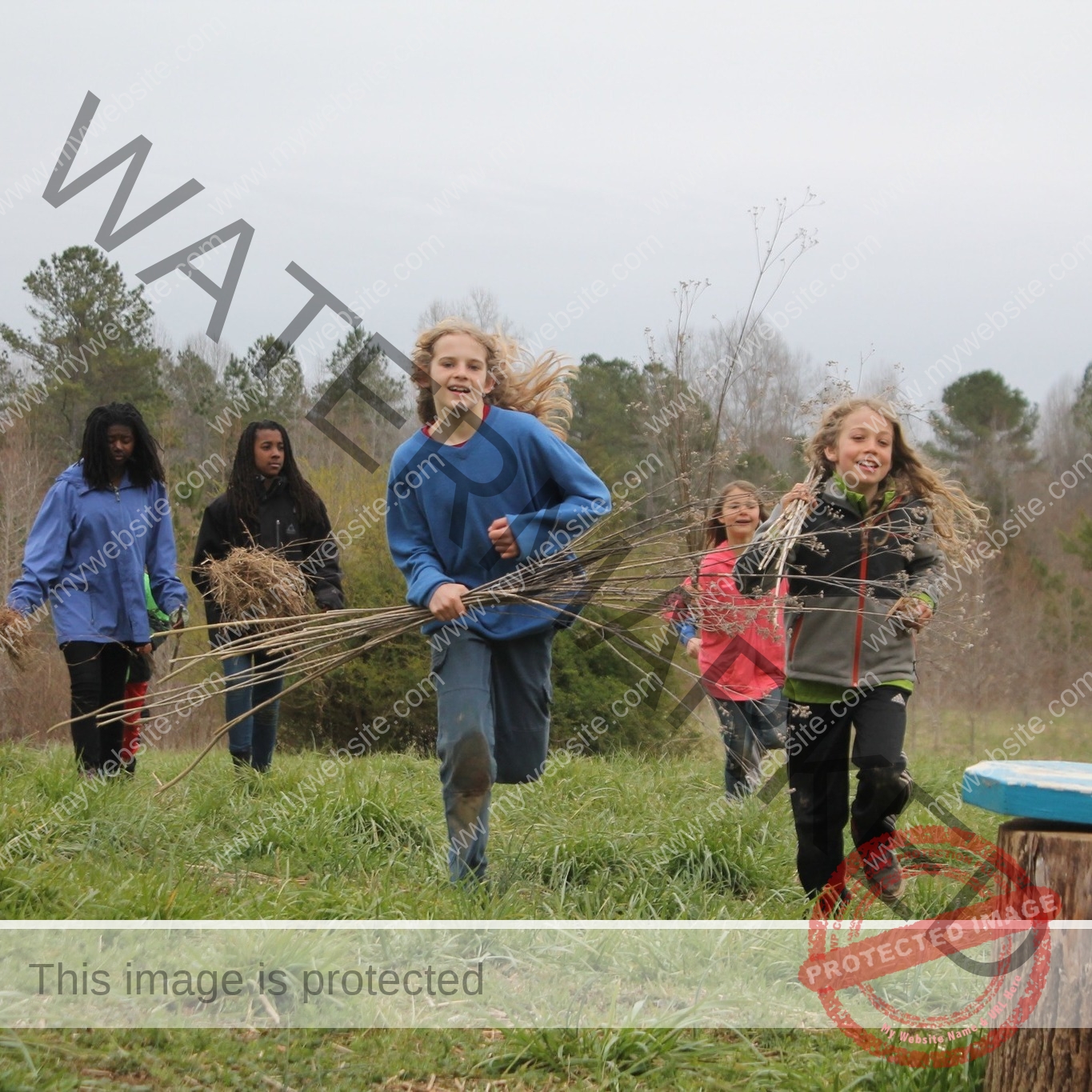 Spring 2026 Homeschool Camp at Clapping Hands Farm - Pittsboro-Siler ...